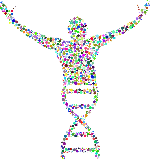 DNA Replication, Transcription and Translation Online Lab – H5P.com